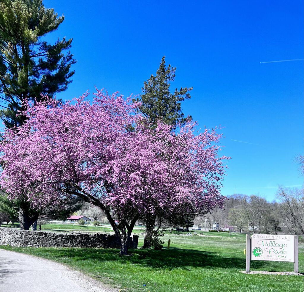 Parks – Village of Crooksville